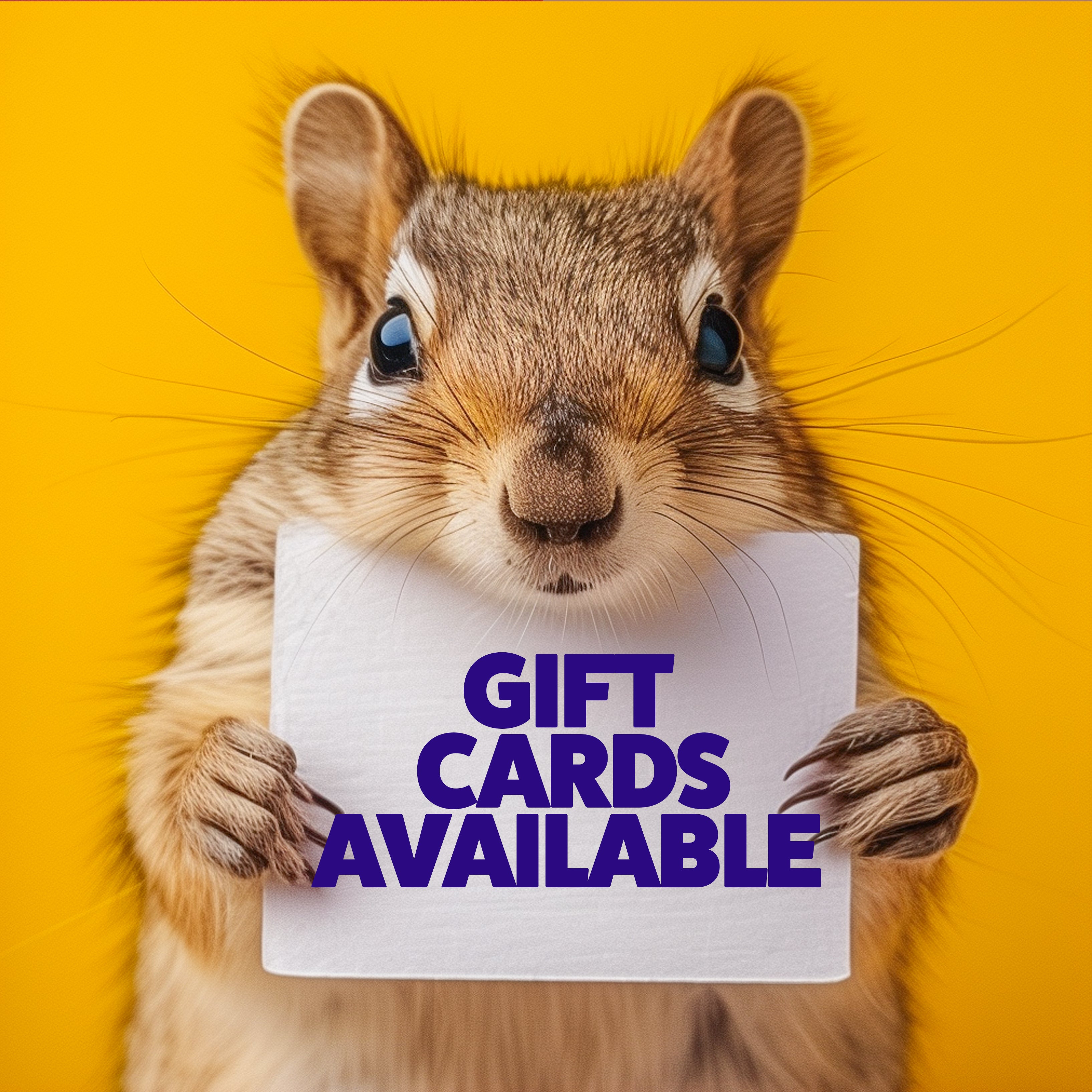 The Curated Goose Gift Cards